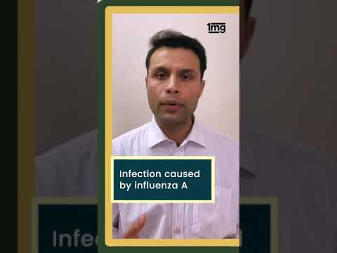 What exactly is bird flu?