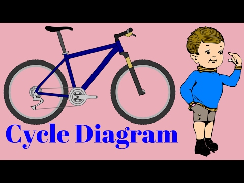 How To Draw A Cycle Diagram| How To Draw A Cycle Diagram For Kids – How ...