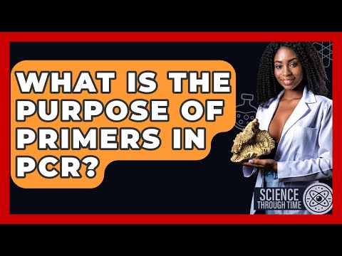 What Is The Purpose Of Primers In PCR? - Science Through Time