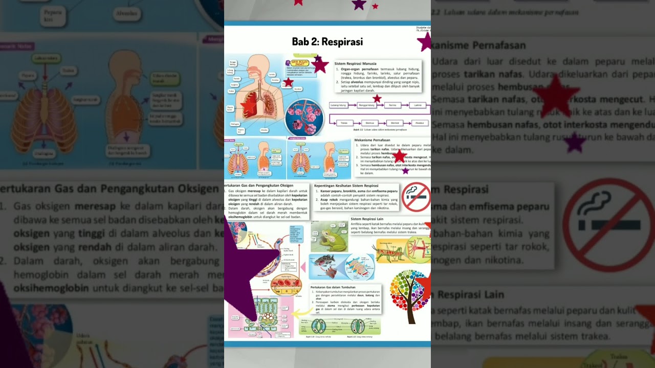 Nota Sains Tingkatan 3...📋🖇📖
