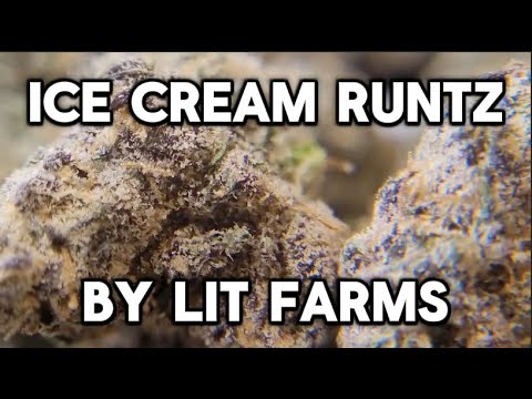 Ice Cream Runtz – LIT Farms THCa Flower Review – The Highest Club