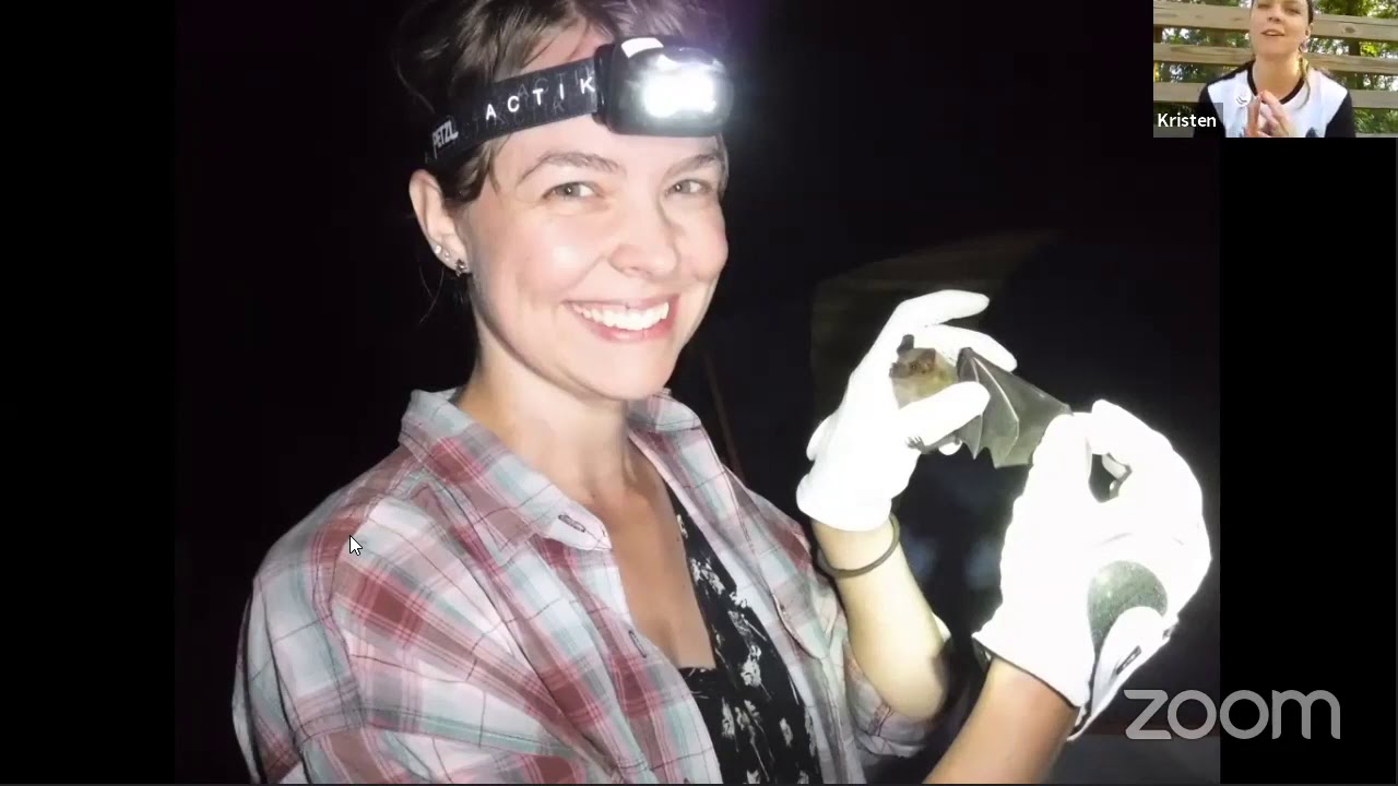 Kristen Lear | Bat Conservation