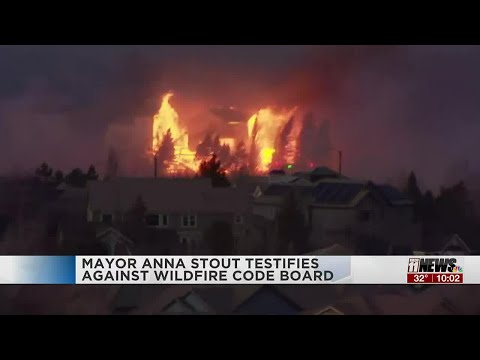 Grand Junction Mayor Anna Stout testifies against Wildfire Code Board