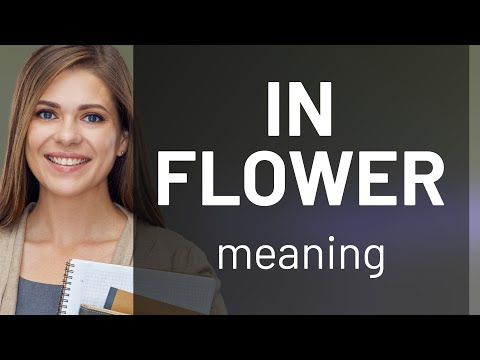Unfolding the Petals of English: Understanding "In Flower"