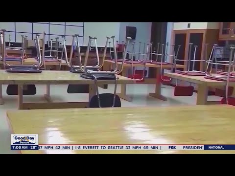 Elections: Results are in for Washington state special elections | FOX 13 Seattle