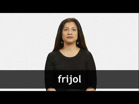 English Translation of “FRIJOL” | Collins Spanish-English Dictionary