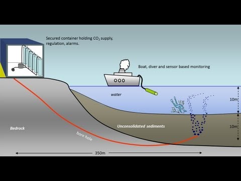 QICS experiment: replicated CO2 leak from a CCS sub seabed storage site