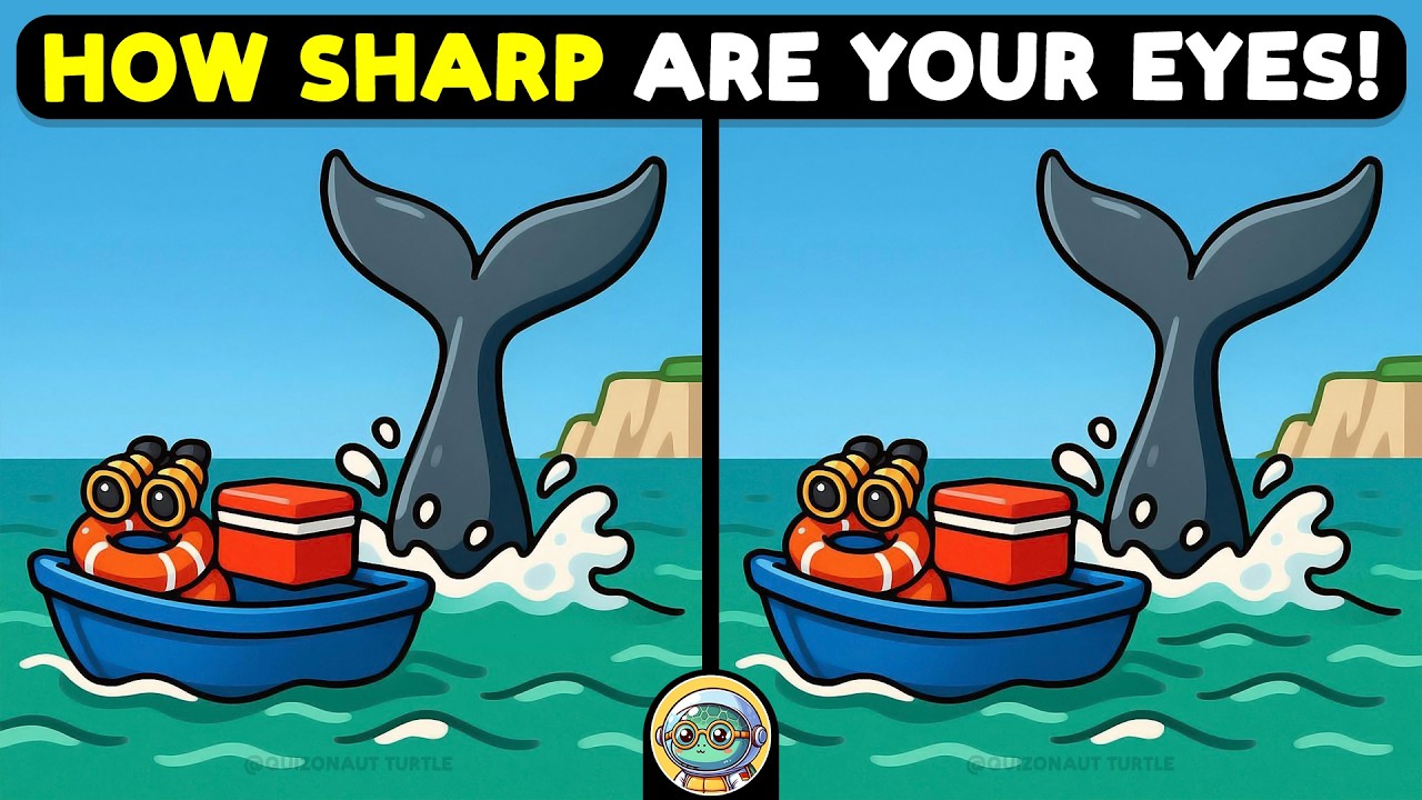 🐢🧩 Find The Difference Challenge | How Many Can You Solve? 🧩🐢 | Quizonaut Turtle