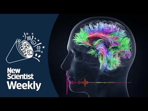 Why thinking hard tires you out | New Scientist Weekly podcast, episode 130