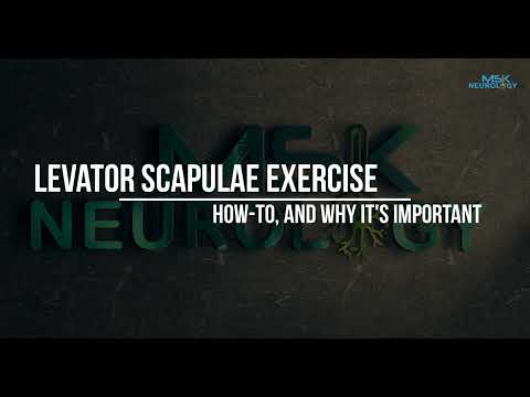 Revised levator scapula exericse | An important stabilizer of the scapula and cervical spine