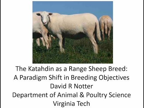 The Katahdin as a Range Sheep Breed: A Paradigm Shift in Breeding Objectives