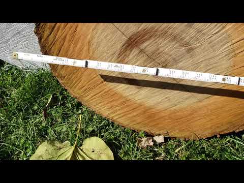 How to Measure Logs for board feet and weight