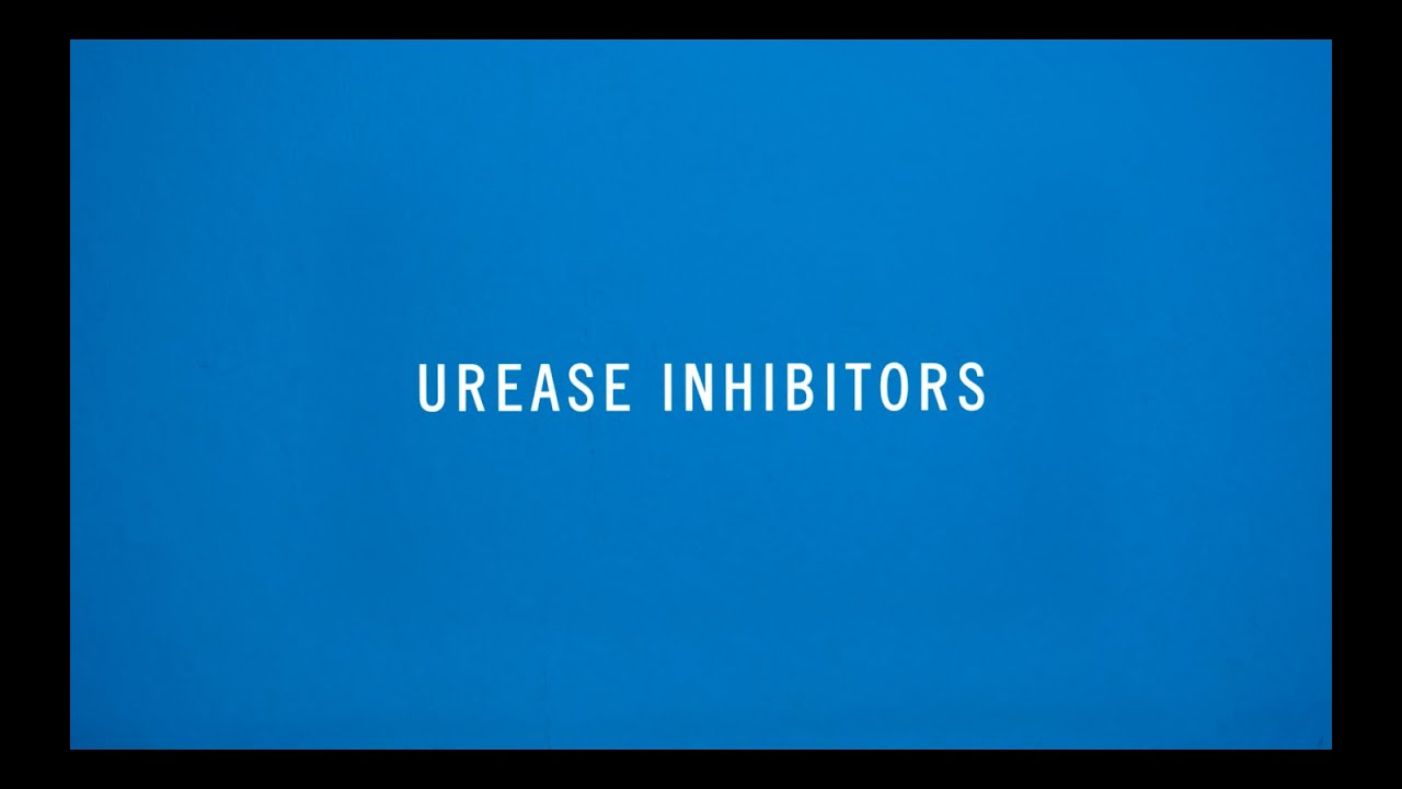 Understanding Nitrogen Loss: Urease Inhibitors
