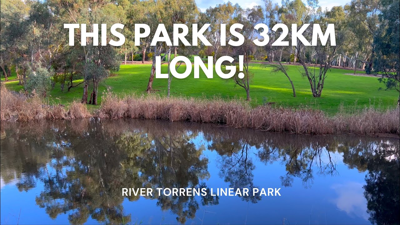 Exploring the RIVER TORRENS LINEAR RESERVE in HIGHBURY | Adelaide, South Australia (4K)