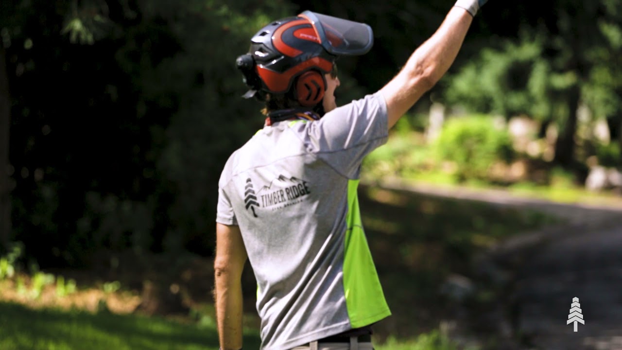 Professional Tree Services in Salt Lake County