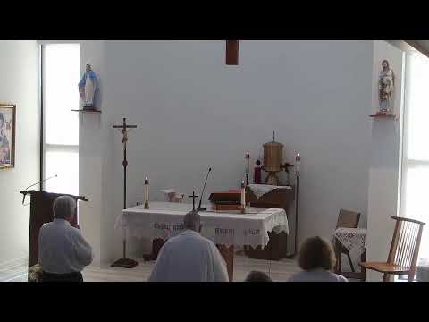 6/19/2025 at 8 AM Daily Mass - St. Romuald, Abbot