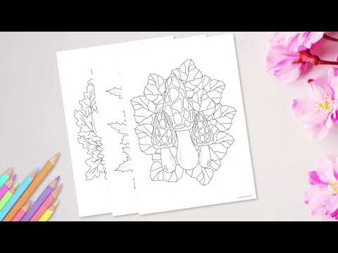 5 Aesthetic Autumn Coloring Pages Printable & Digital Files