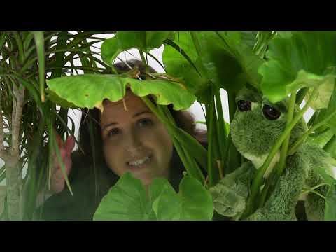 Drinking Water Treatment Plant Tour for Kids