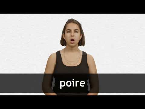 English Translation of “POIRE” | Collins French-English Dictionary