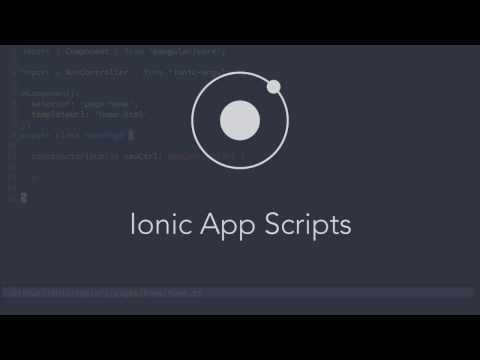 Ionic App Scripts Error Reports