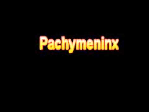 What Is The Definition Of Pachymeninx Medical School Terminology Dictionary