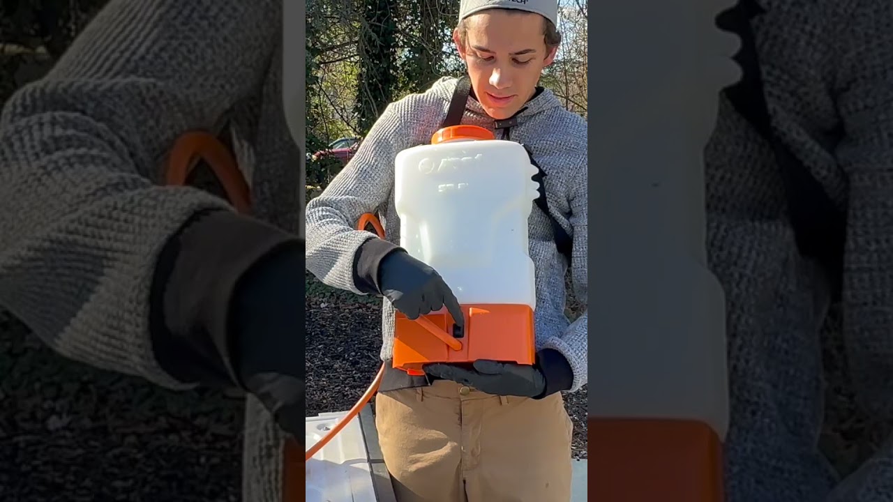 Pest Control Treatment  #insects #pestsolutions #pestcontrol