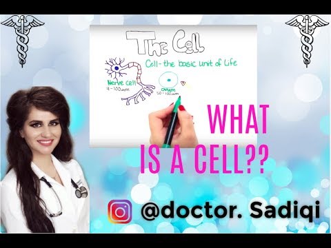 WHAT IS A CELL?? DIFFERENT CELLS, ITS HISTORY AND CELL THEORY EXPLAINED UNDER 5 MINUTES!!!