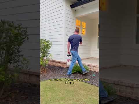The Best DIY pest control⦠š