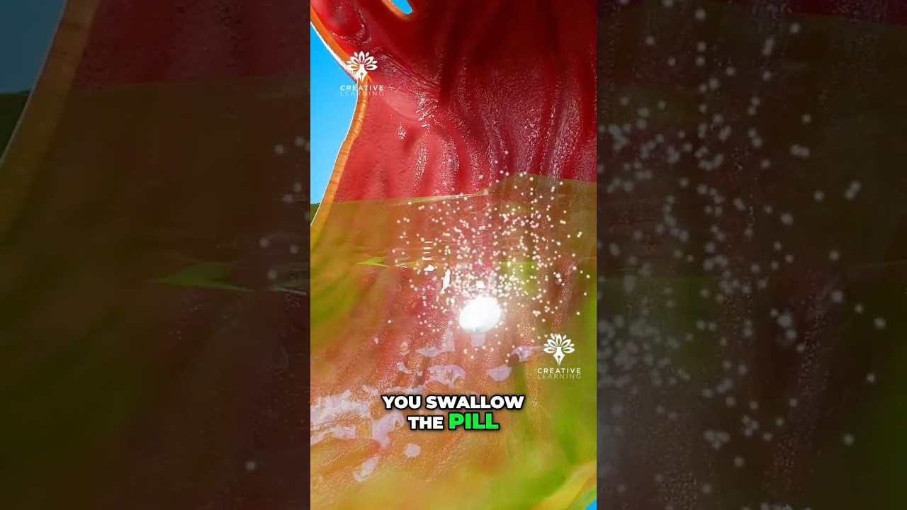 How Painkillers Know Where It Hurts 😮 #painkiller #short - Creativelearning3d