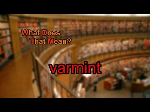 What does varmint mean?