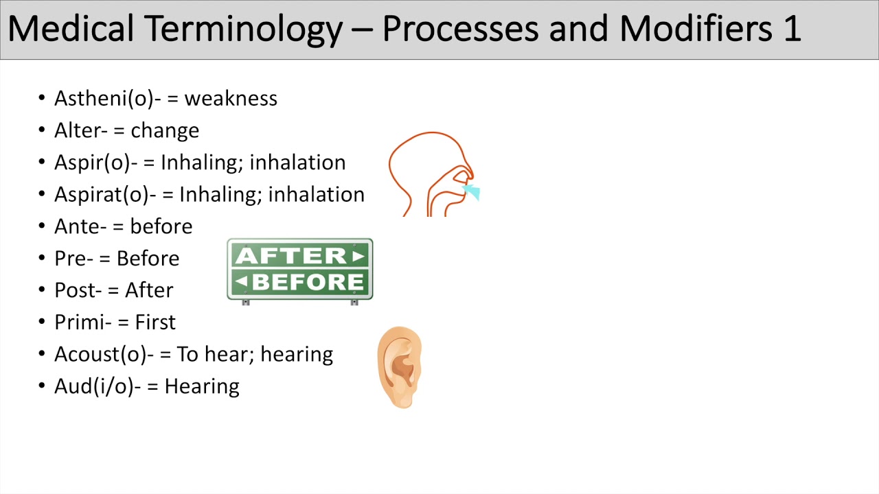 Understanding Medical Terminology: Key Prefixes and Suffixes Explained | Galaxy.ai