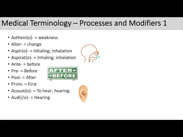 Understanding Medical Terminology: Key Prefixes and Suffixes Explained ...