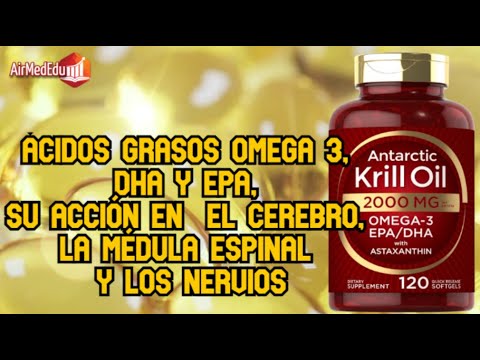 Ácidos grasos Omega 3, DHA y EPA, su acción en el Cerebro, la Médula Espinal y los Nervios