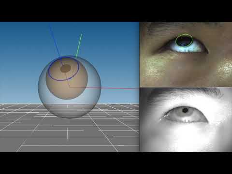 Pupil and Iris Tracking using a RGB-IR Camera
