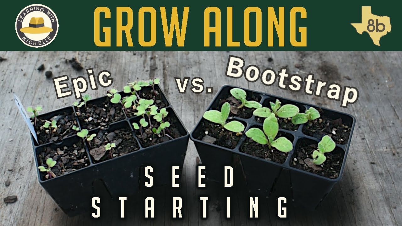 Unsponsored-Epic vs Booststrap reusable seed starting 6 cell.