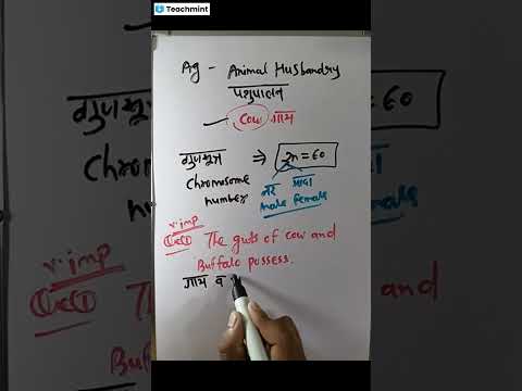 PAT क्या है ? ! What' is PAT ! full details of PAT ! Career Guidance ! mppat 2025