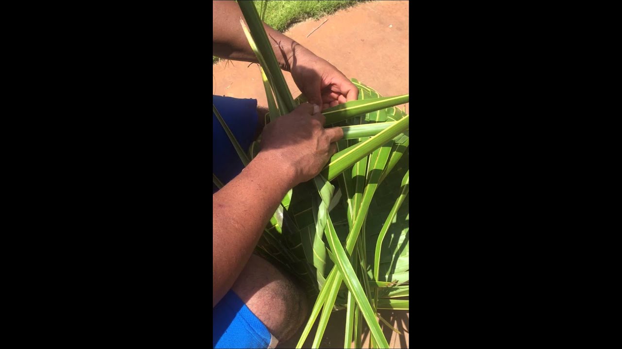DIY: How to Basket weave traditional style out of coconut palm tree leaves.