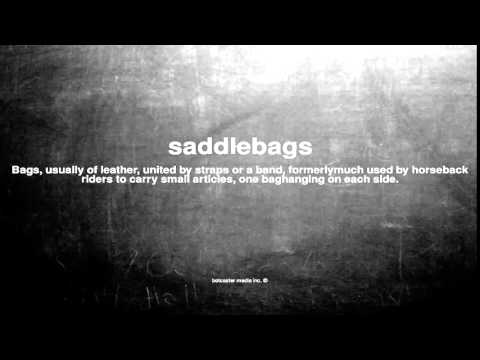 What does saddlebags mean