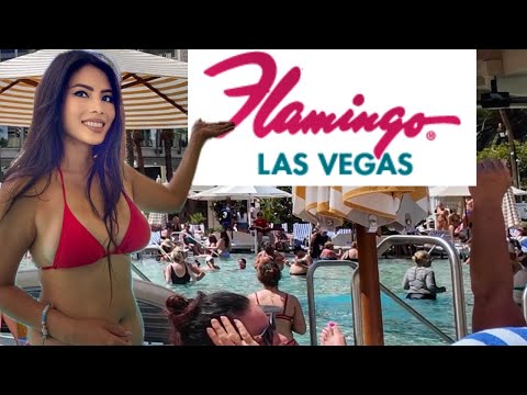 Flamingo Las Vegas Renovations & Honest Review (New Pool is Open)