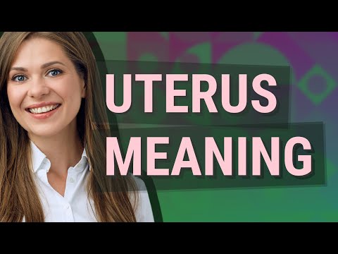 Uterus | meaning of Uterus