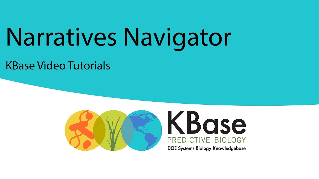 Narratives Navigator Guide