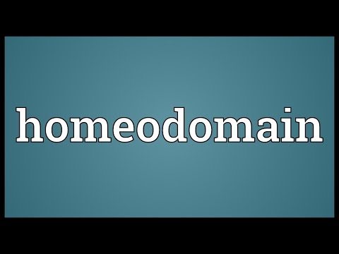 Homeodomain Meaning
