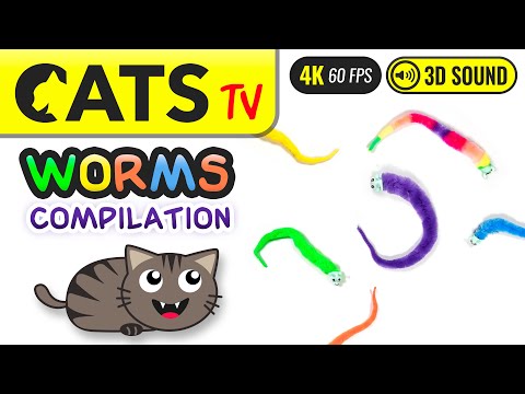 GAME FOR CATS - Worms compilation 😼 4K 🔴 60FPS 🕒 3 HOURS [Cats TV]