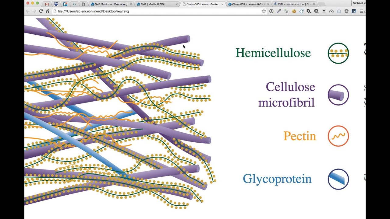 Drupal SVG Sanitizer