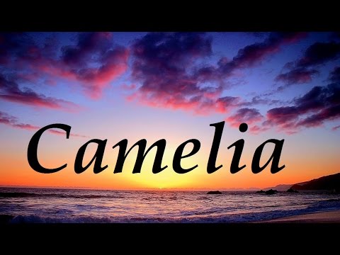 Camelia, significado y origen del nombre