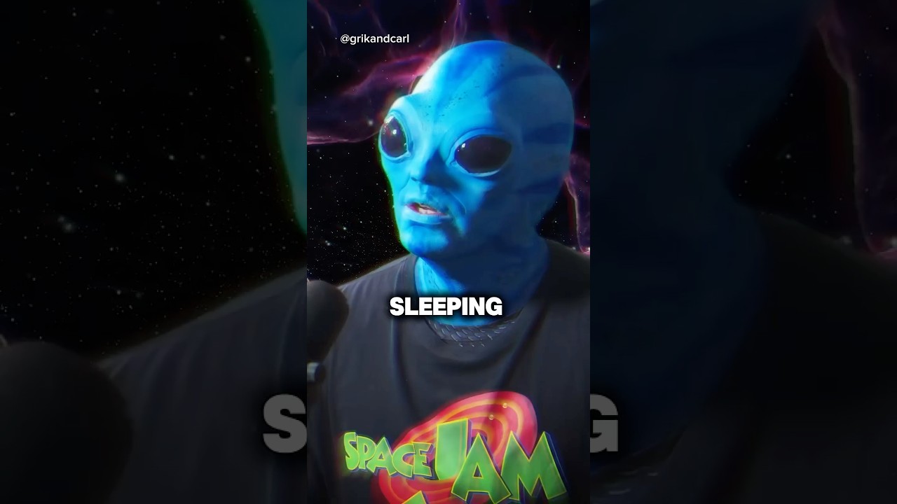 Why do humans sleep so much??