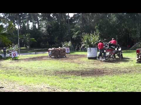 Fahrturnier Gronau-Epe 2012 Martin B. Hindernis 1