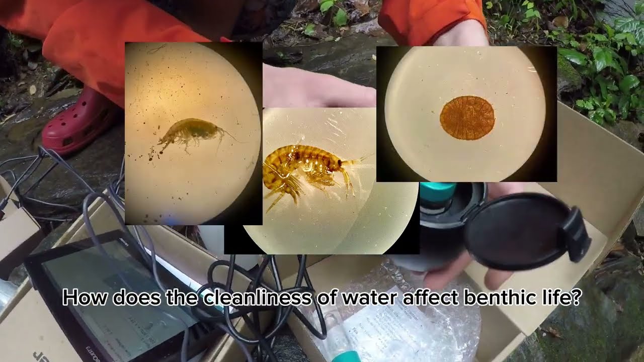 Watershed Class 2025 - Video Pass Down