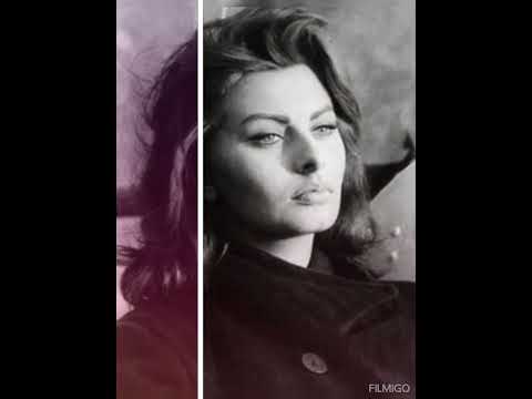 Sophia Loren ❤