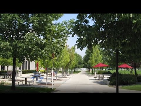 Indiana University South Bend - 5 Things I Wish I Had Known Before Attending